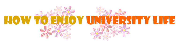 ::How to enjoy university